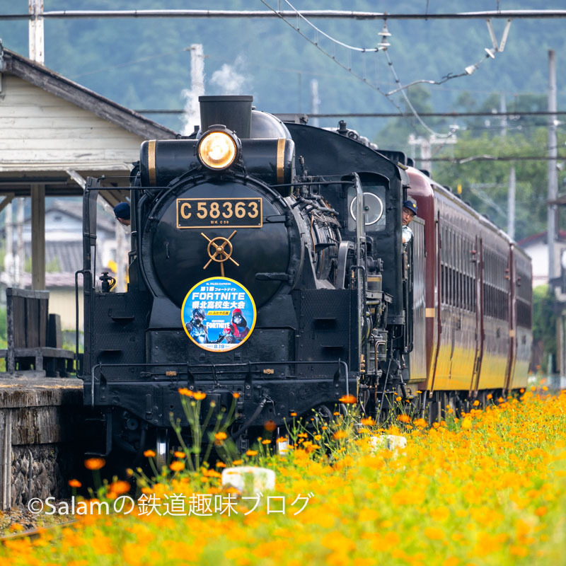 荒川河川敷と中川のキバナコスモスへ: Salamの鉄道趣味ブログ2