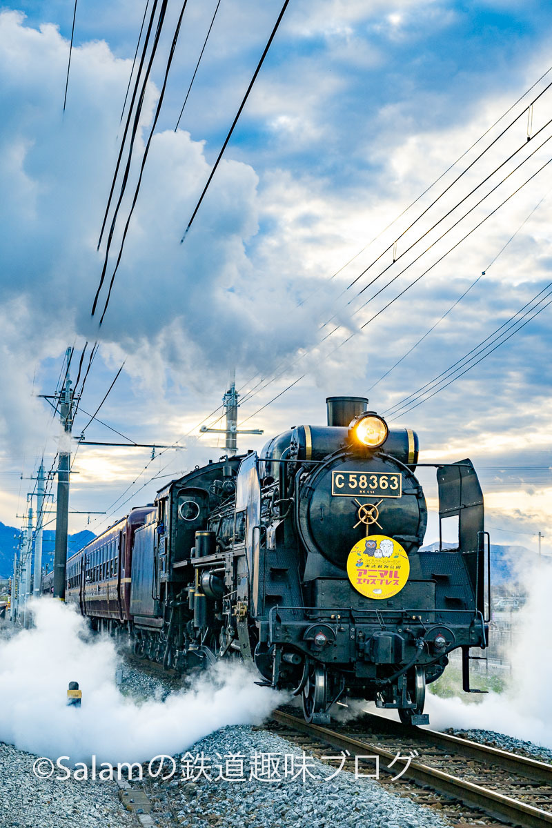 SLアニマルエクスプレス号の撮影: Salamの鉄道趣味ブログ2